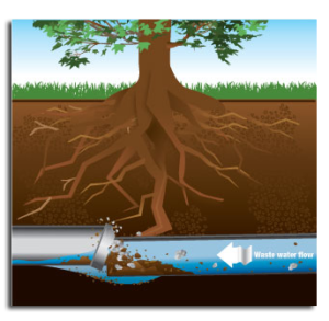 Morris County Sewer and drain Cleaning services | Zeek Plumbing